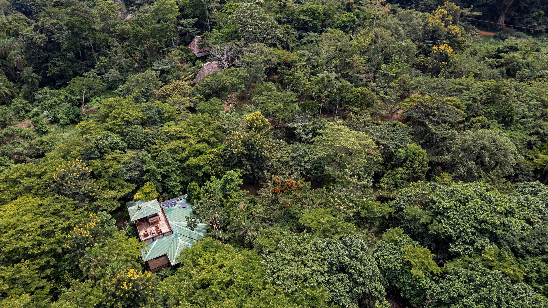Bugoma Jungle Lodge » Oeganda » Matoke Tours
