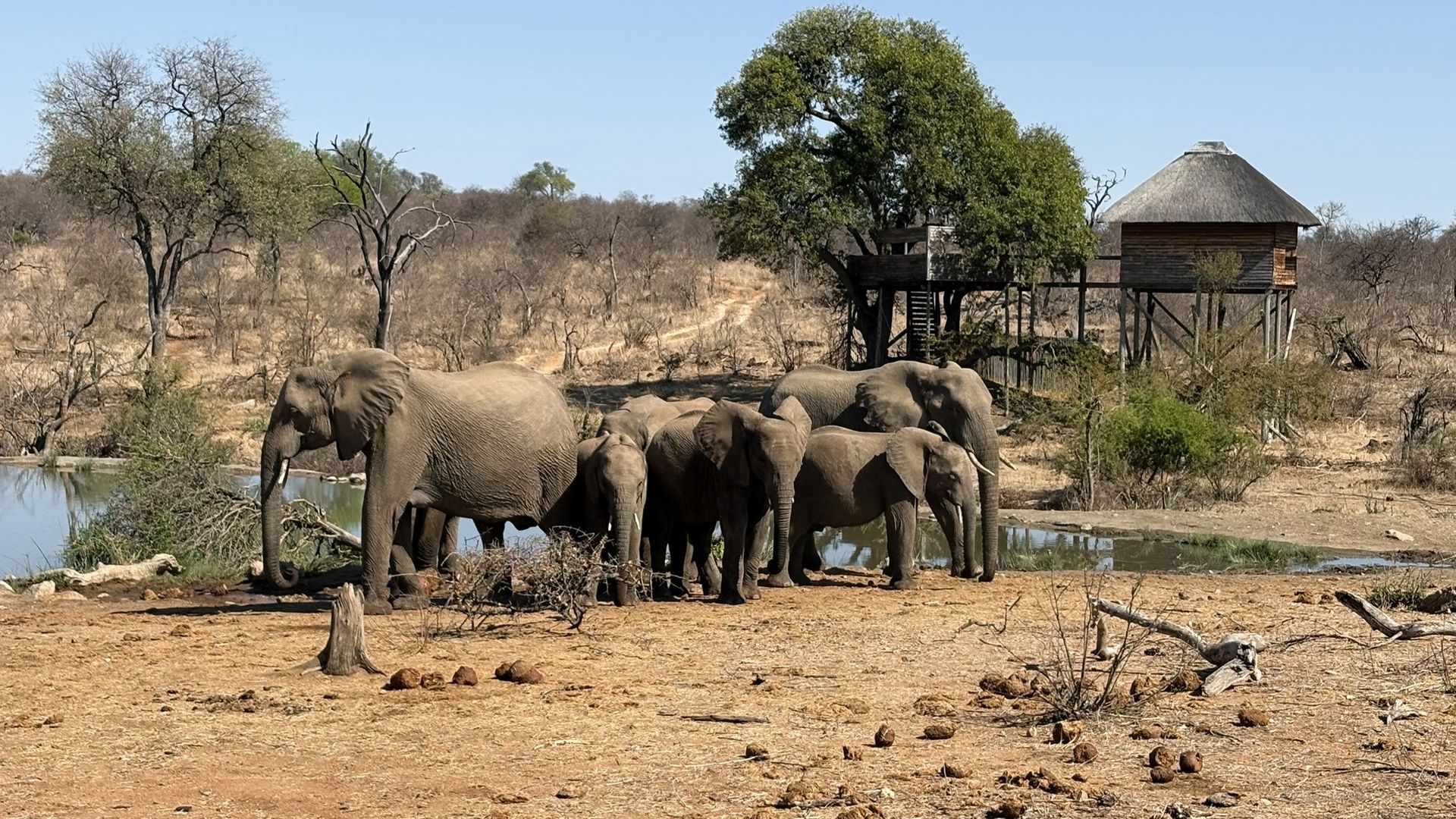 Balule - Natuurreservaat - Zuid-Afrika - Matoke Tours
