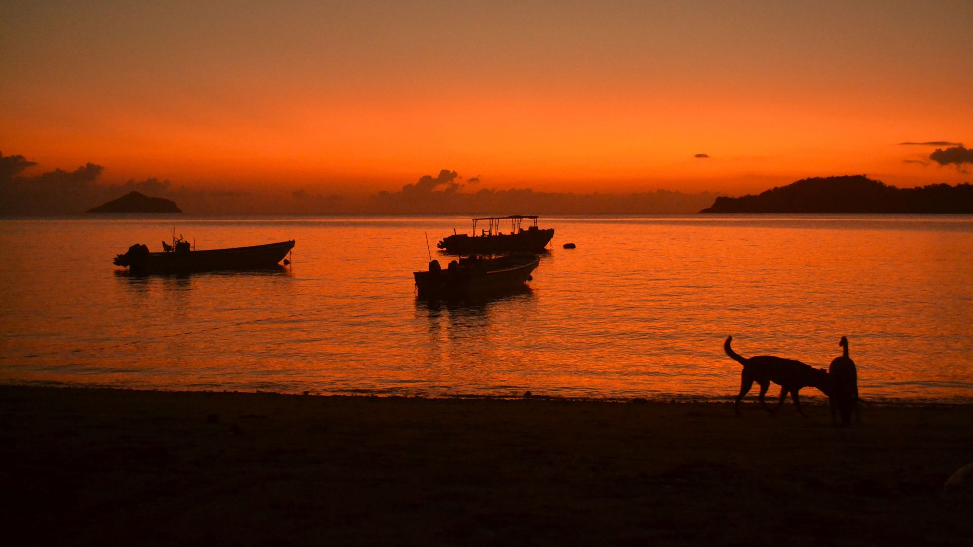 Reisadvies Comoren | Matoke Tours