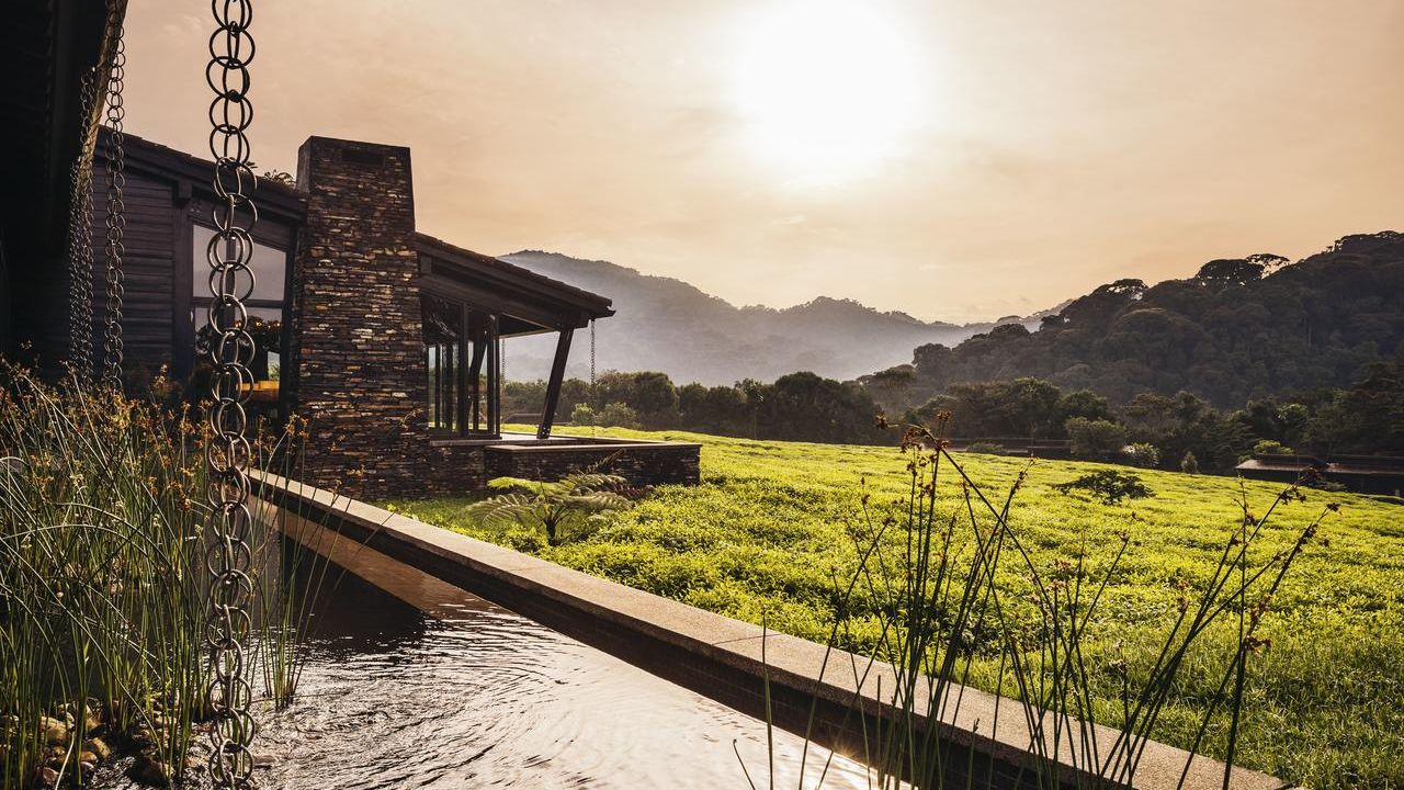 Nyungwe Forest Rwanda - Nyungwe Forest National Park