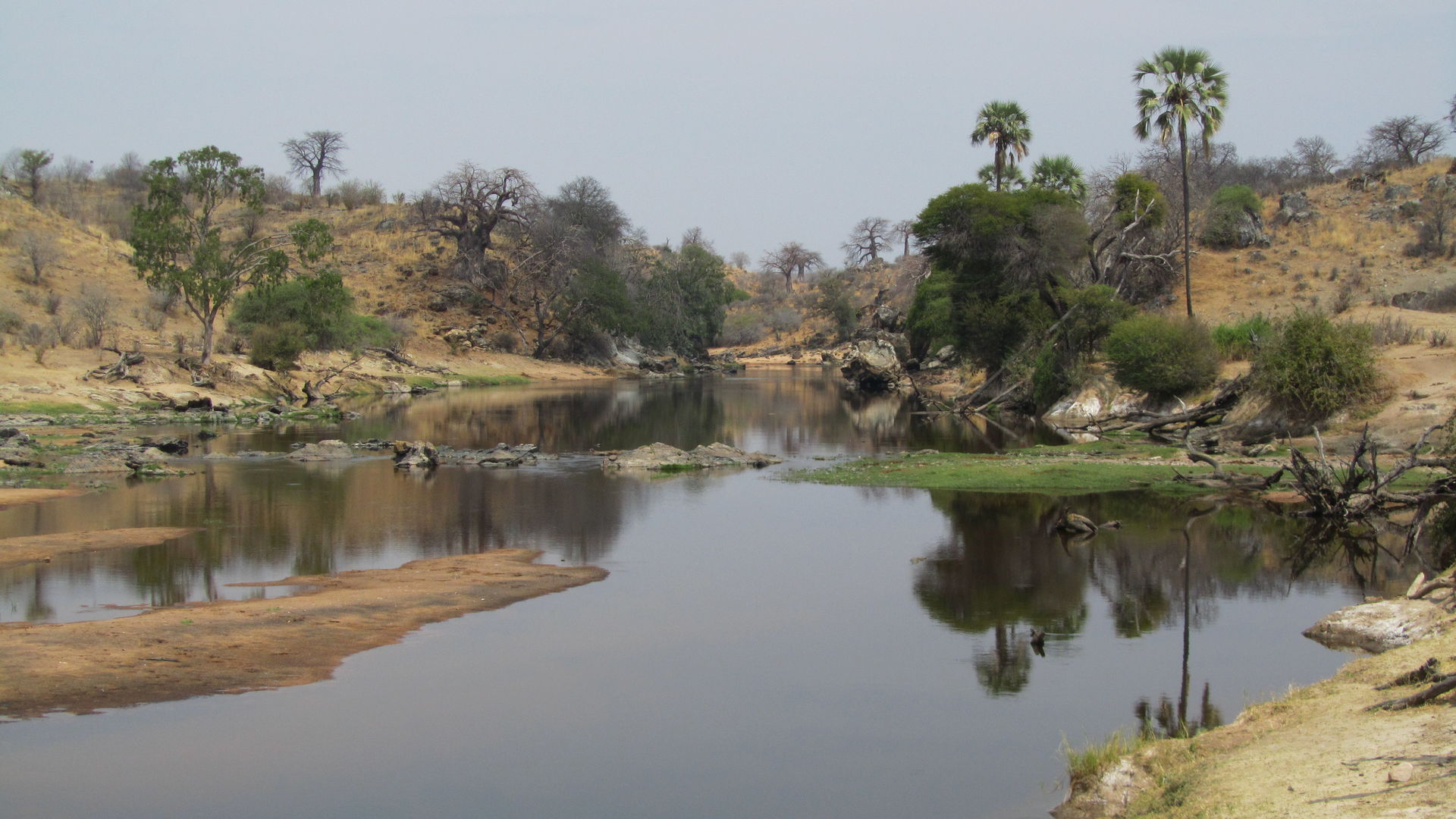 Ruaha - Ruaha National Park - Zuid Tanzania groepsreis