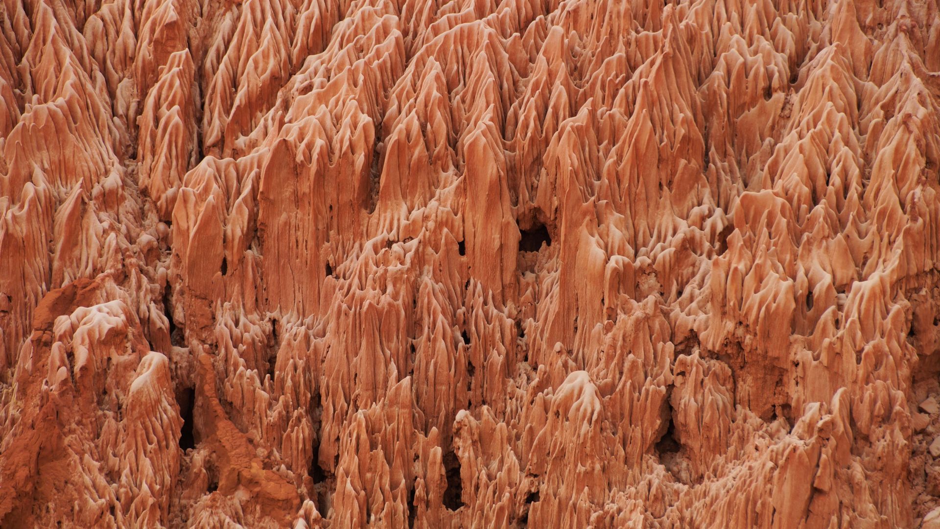 Tsingy Rouge Madagaskar - Tsingy bezoeken Madagascar