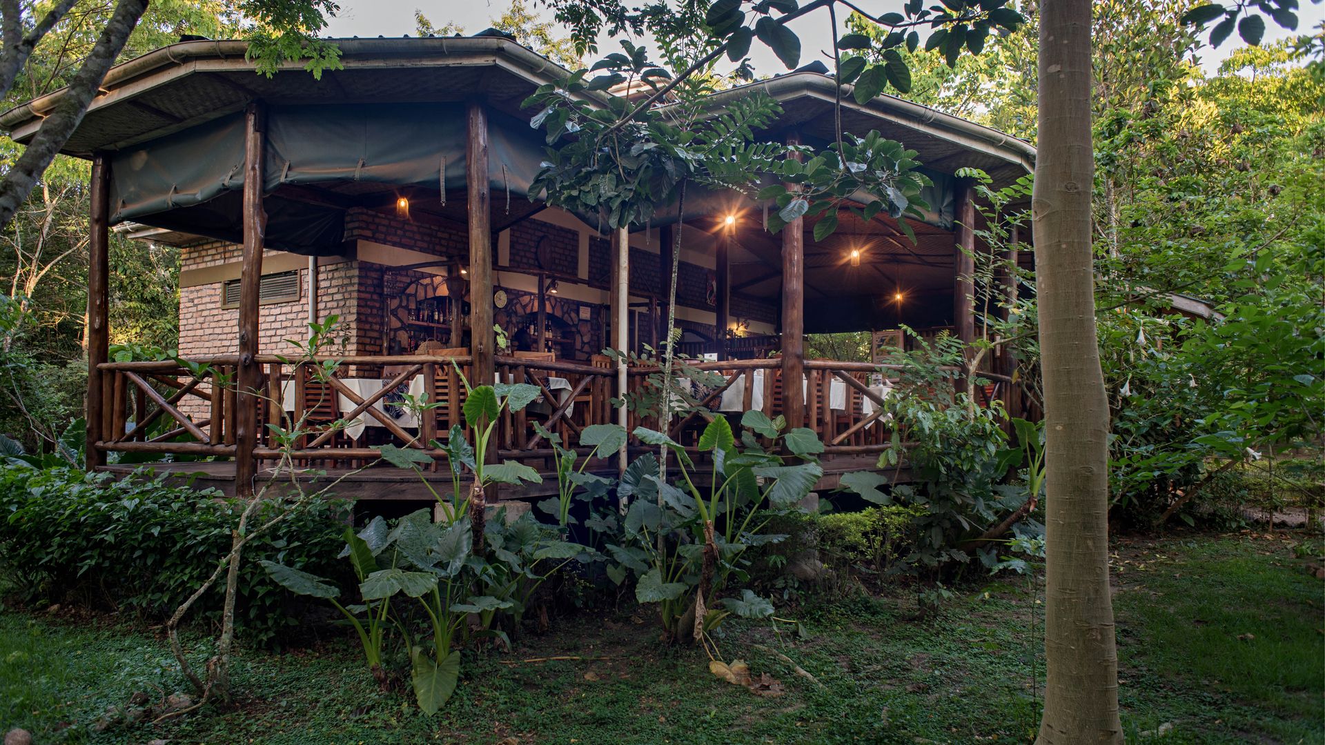 Bugoma Jungle Lodge » Oeganda » Matoke Tours