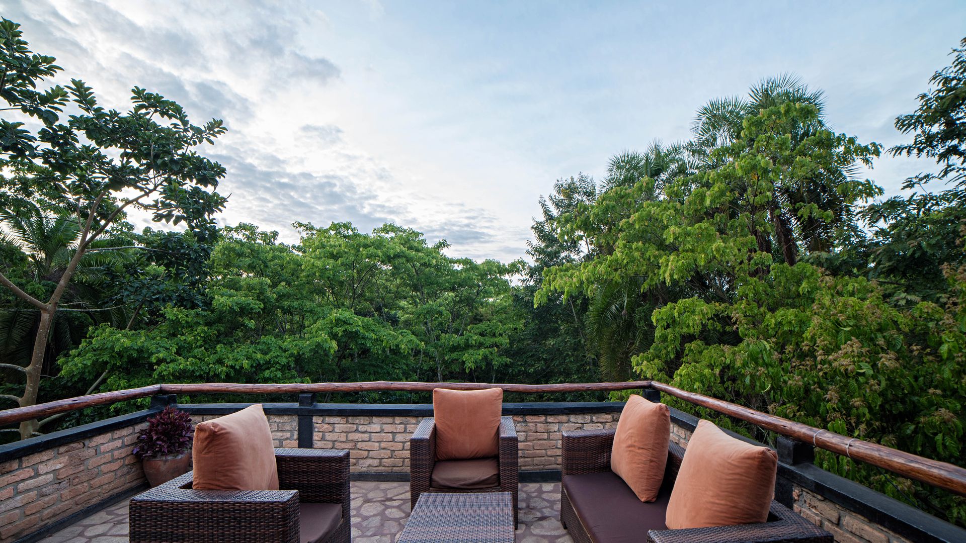Bugoma Jungle Lodge » Oeganda » Matoke Tours