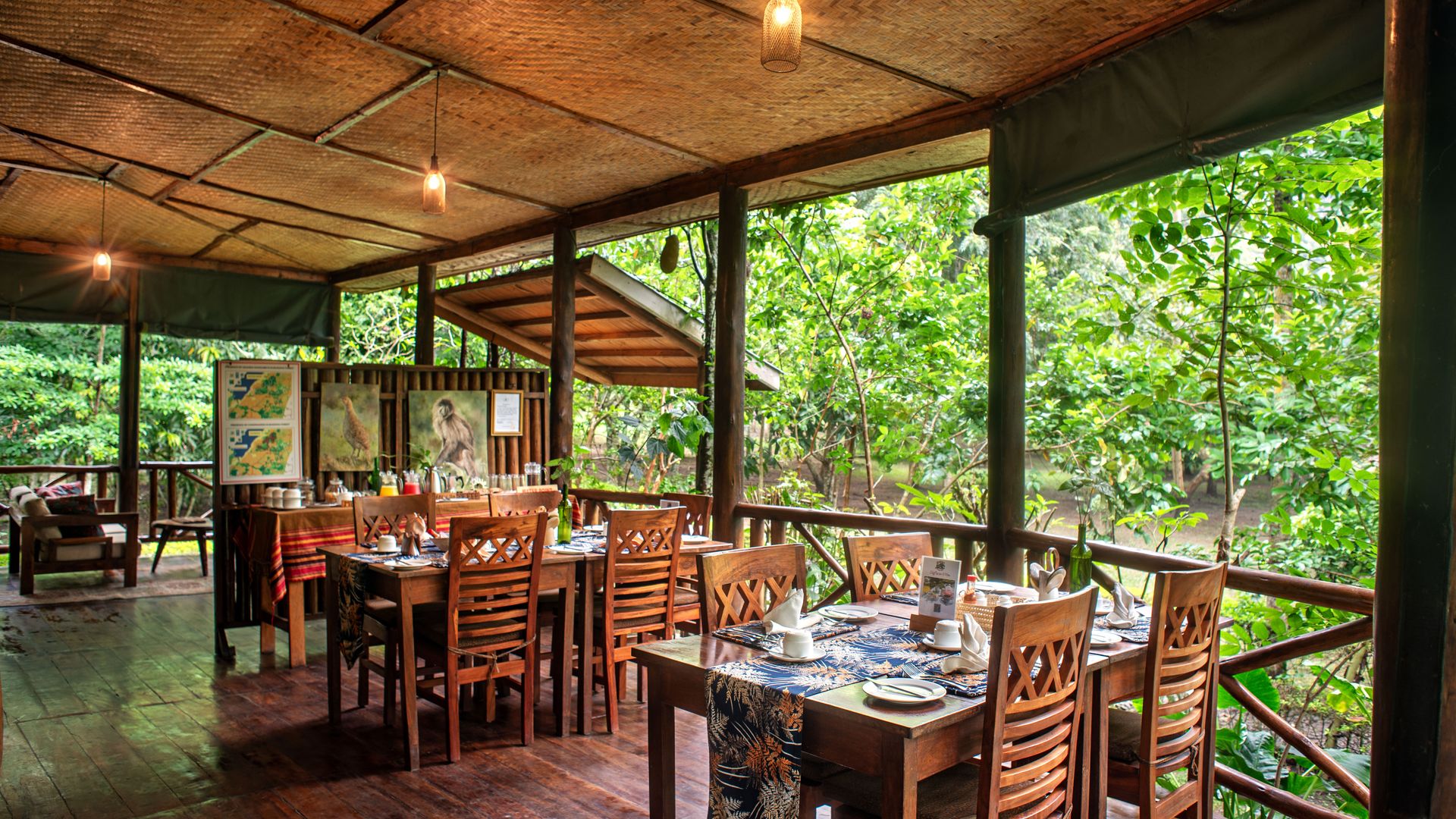 Bugoma Jungle Lodge » Oeganda » Matoke Tours