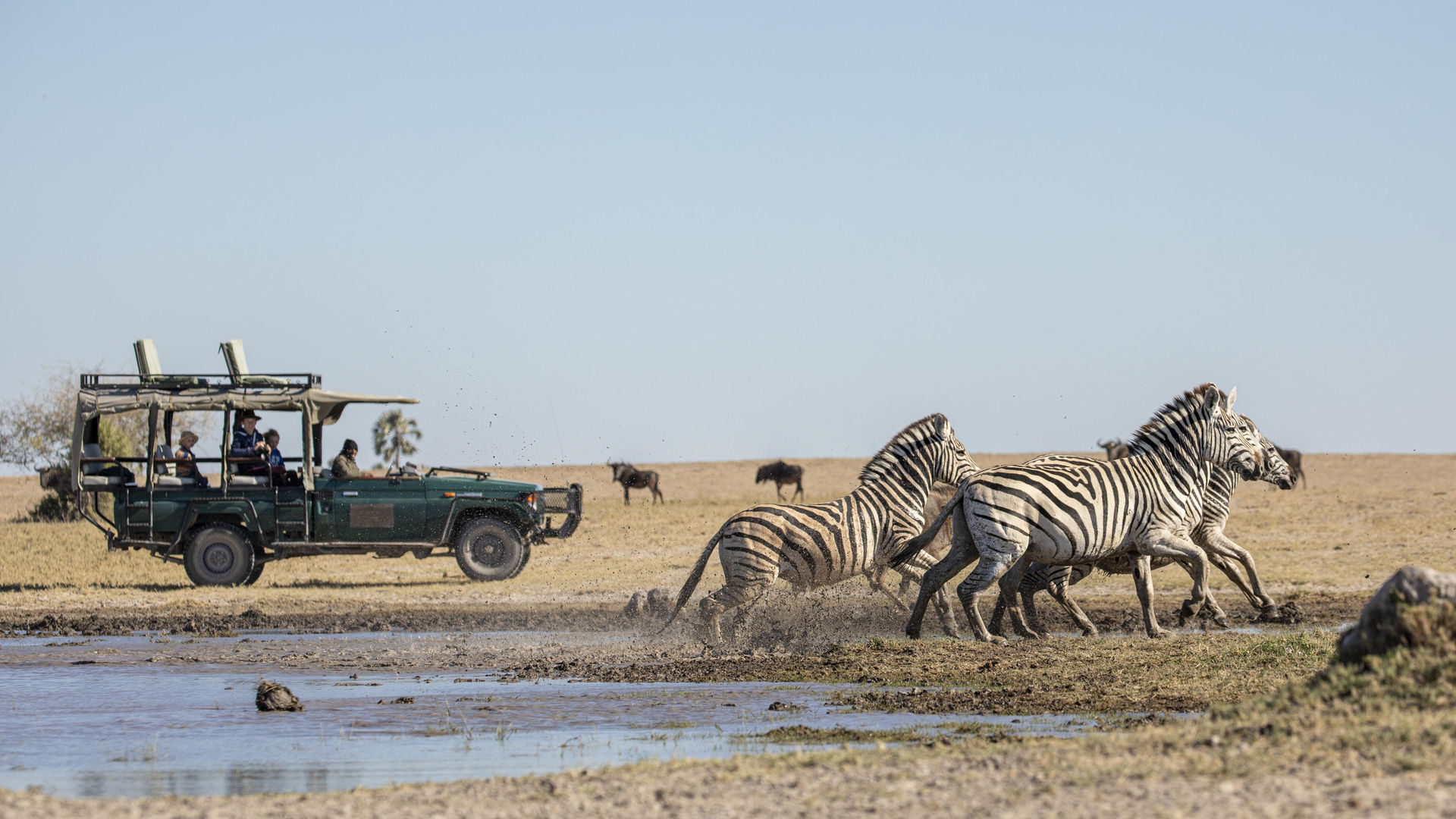 Individuele rondreis Botswana 14 dagen | 2 weken Botswana reis