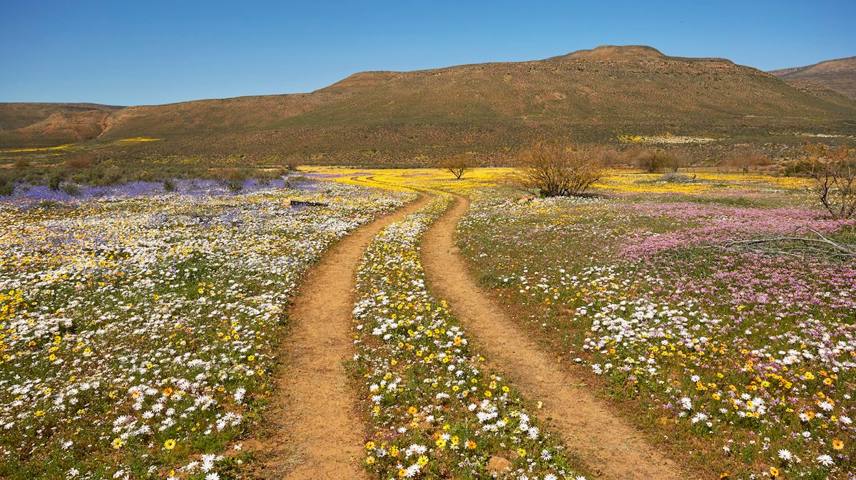 Cederberg - Surrealistische bergen in Zuid-Afrika | Matoke Tours